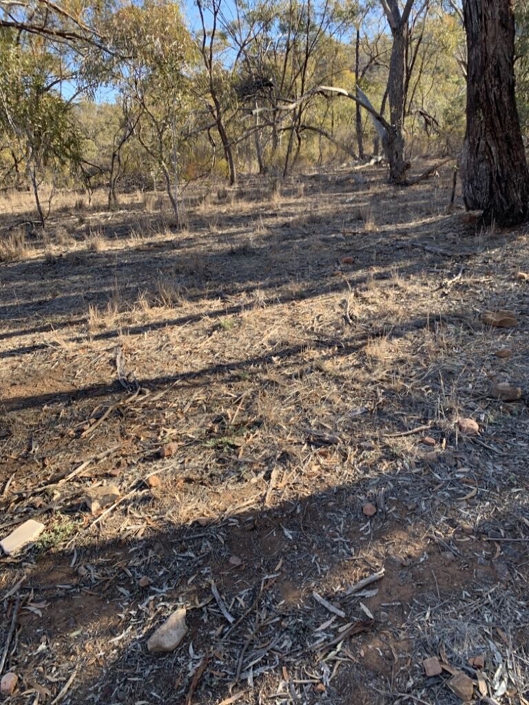 Epicollect5 - Bushfire Risk Assessment