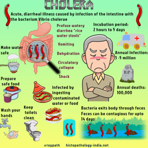 cholera