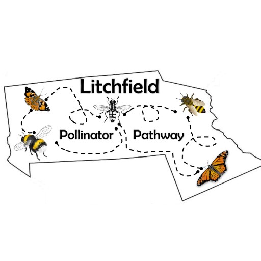 Epicollect5 - Litchfield Pollinator Pathway Site Assessment