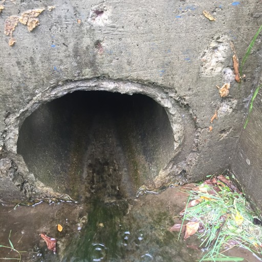 Epicollect5 - MS4 OUTFALL INSP